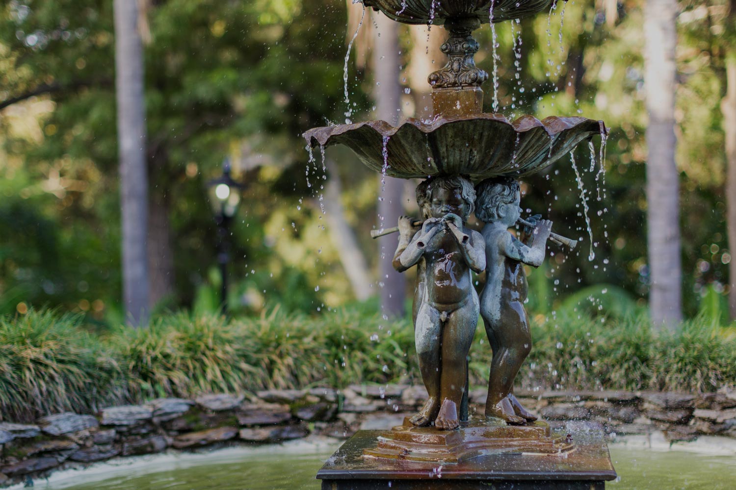 Roselea Gardens - Welcome to Roselea Gardens